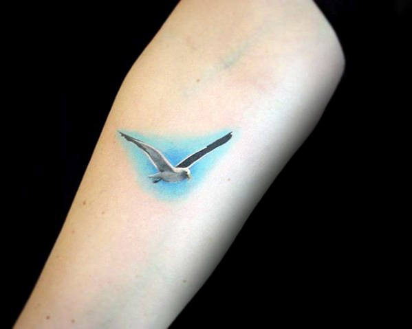 48 Tatuaggi con i gabbiani (con significato)